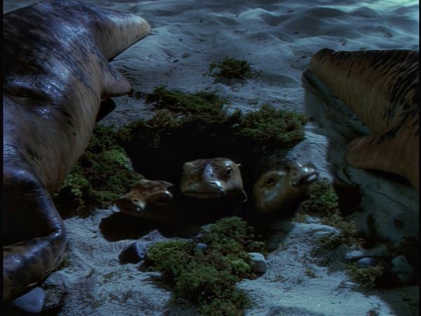 Threshold · Untitled Star Trek Project